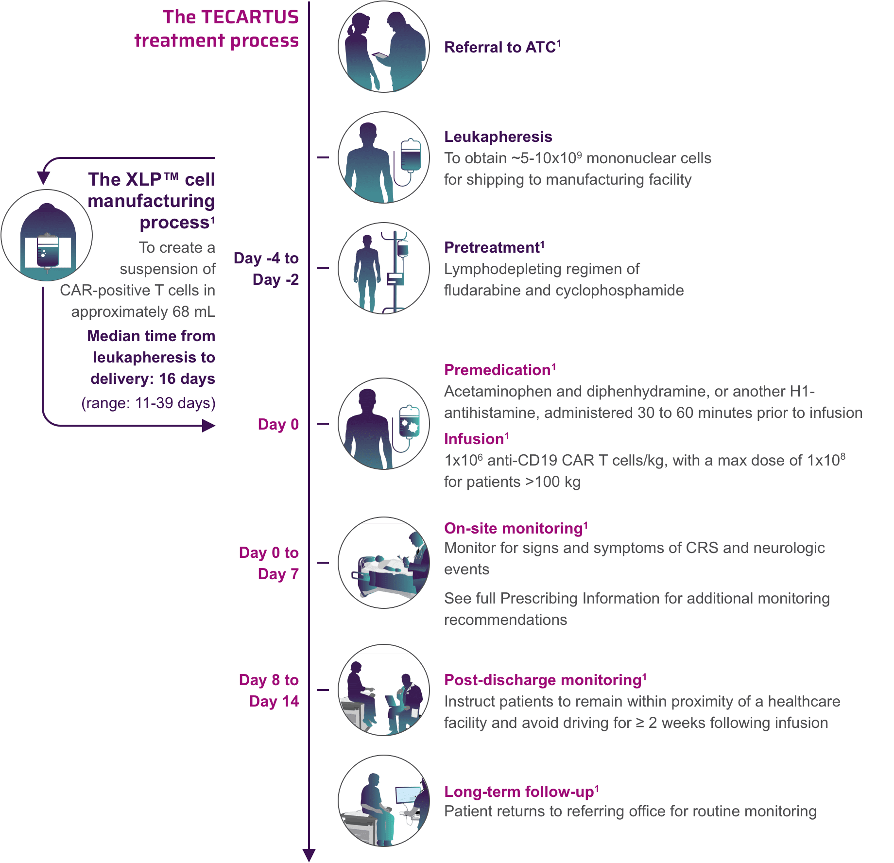 TECARTUS® CAR T-Cell Therapy Treatment Process